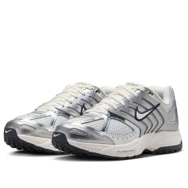 Nike Zoom Pegasus 2005 "chrome - Black