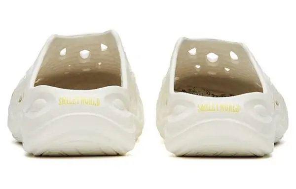 ANTA Chao Bai 1.0 Slides