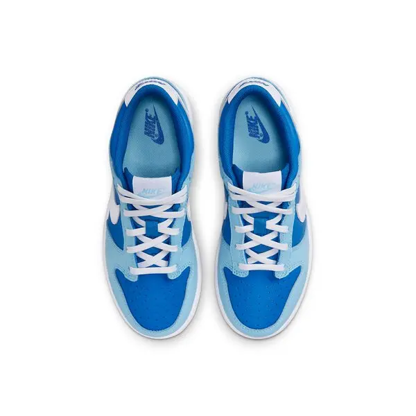 Nike Dunk Low Retro Qs 'argon' 2022 - Blue