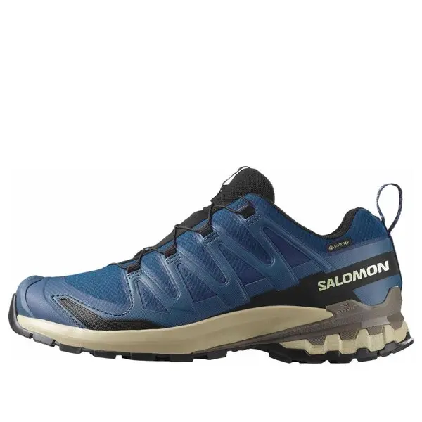 SALOMON Xa Pro 3d V9 Gtx Athletic Sneakers - Blue