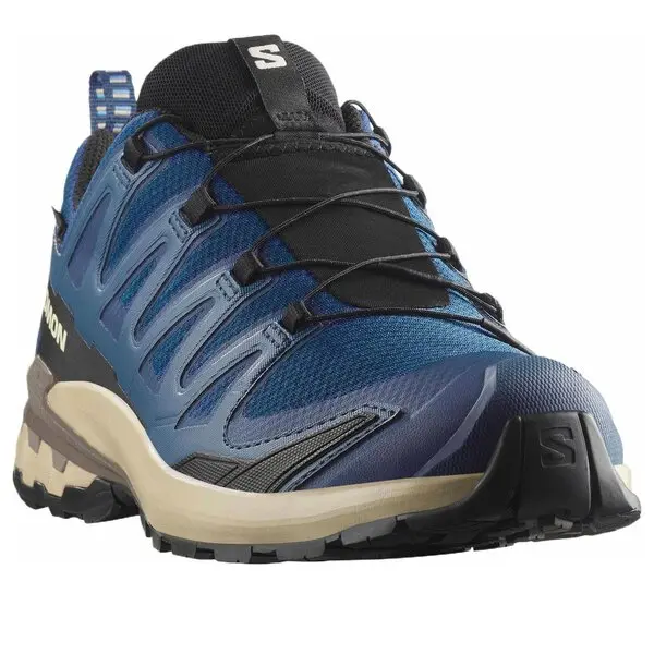 SALOMON Xa Pro 3d V9 Gtx Athletic Sneakers - Blue