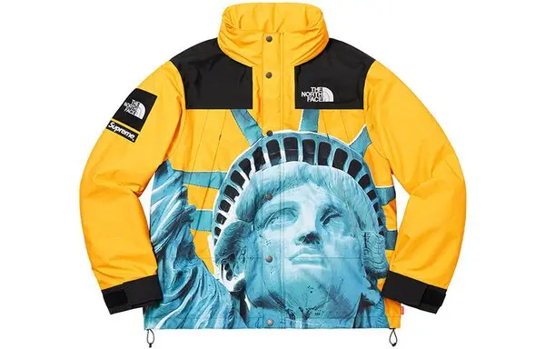 Supreme X The North Face Statue Of Liberty Waterproof Interchange Jacket