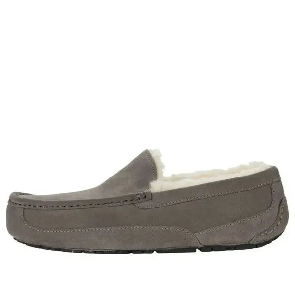 UGG Ascot Slipper - Grey