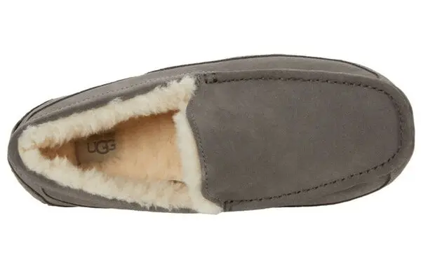 UGG Ascot Slipper - Grey