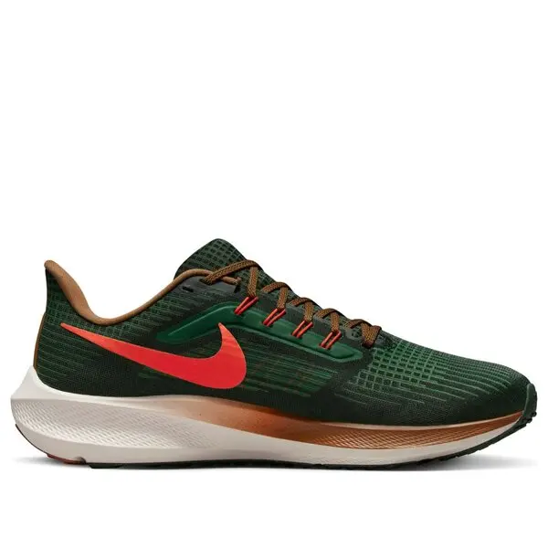Nike Zoom Pegasus 39 "a.i.r