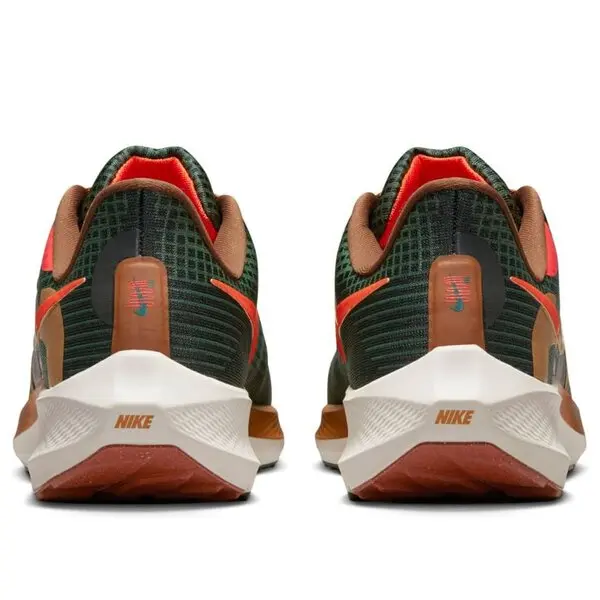 Nike Zoom Pegasus 39 "a.i.r