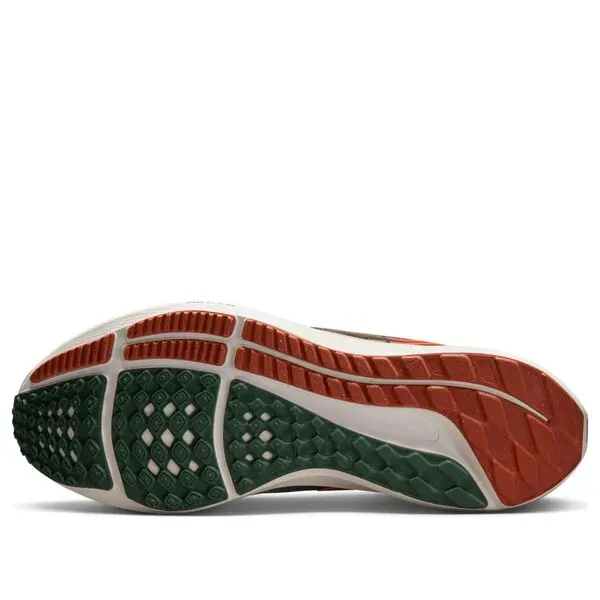 Nike Zoom Pegasus 39 "a.i.r