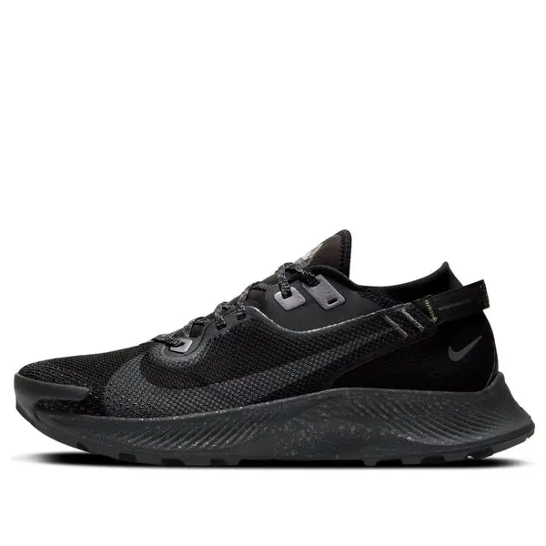 Nike Pegasus Trail 2 Gtx Athletic Sneakers - Black
