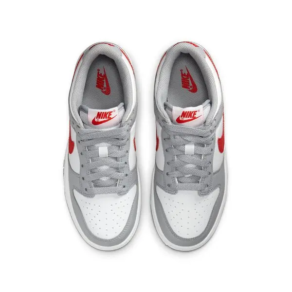 Nike Dunk Low Sneakers
