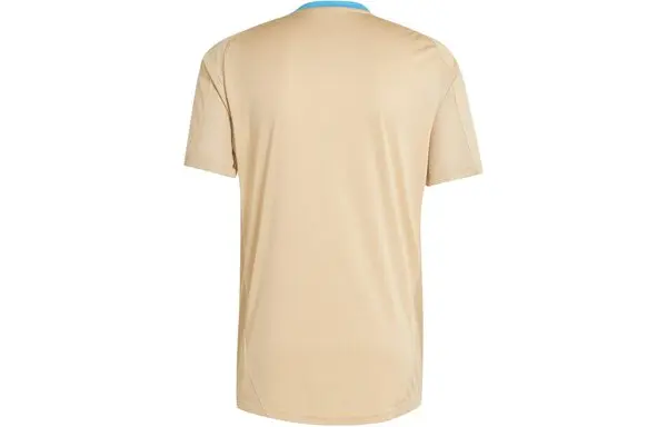 Adidas Argentina Training Soccer Jersey - Beige/blue