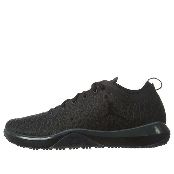 JORDAN Air Trainer Low Sneakers