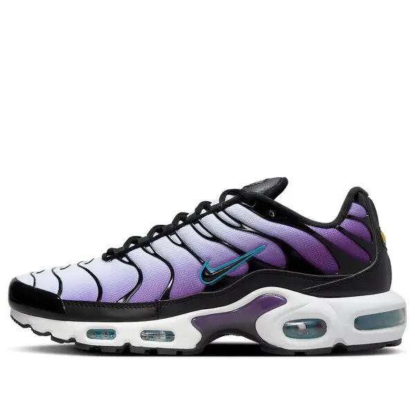 Nike Max Plus Sneakers - Grape Purple/blue/black