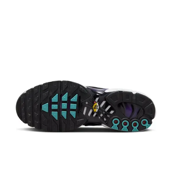 Nike Max Plus Sneakers - Grape Purple/blue/black