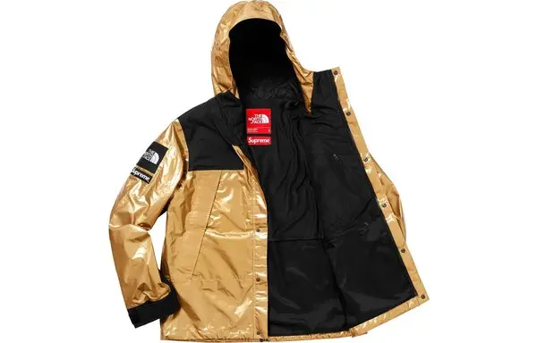 Supreme Ss18 The North Face Metallic Mountain Parka X