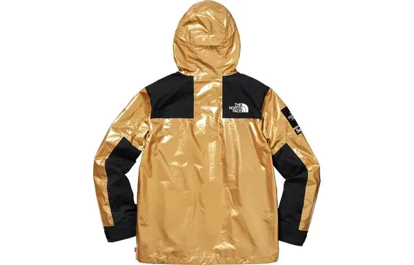 Supreme Ss18 The North Face Metallic Mountain Parka