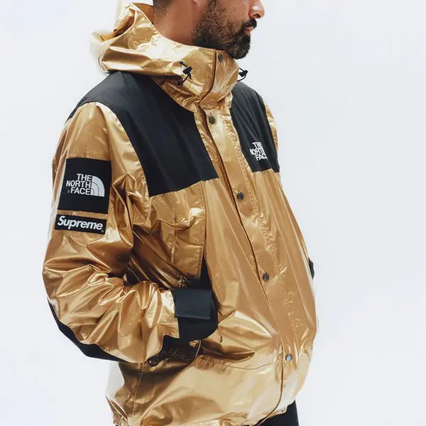 Supreme Ss18 The North Face Metallic Mountain Parka