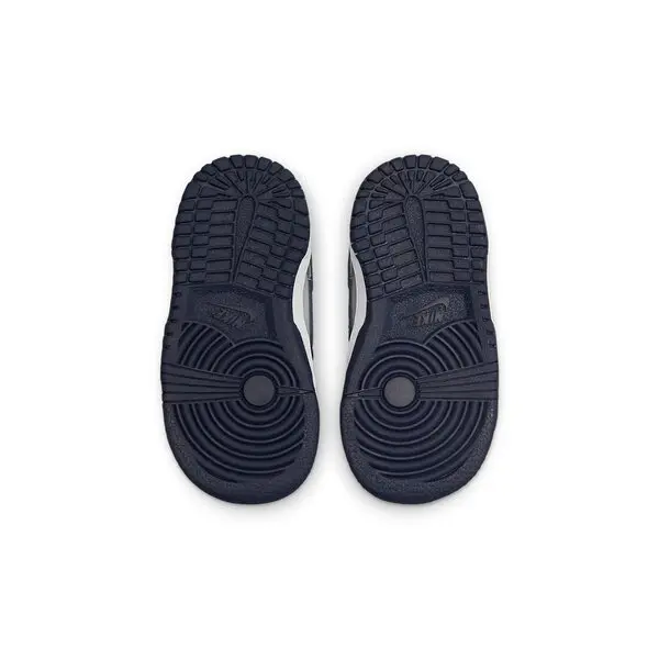 Nike Nba X Dunk Low Emb '75th Anniversary Nets