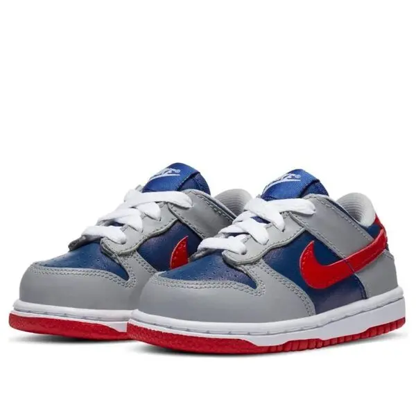 Nike Dunk Low Retro 'samba' 2020 - Grey/blue