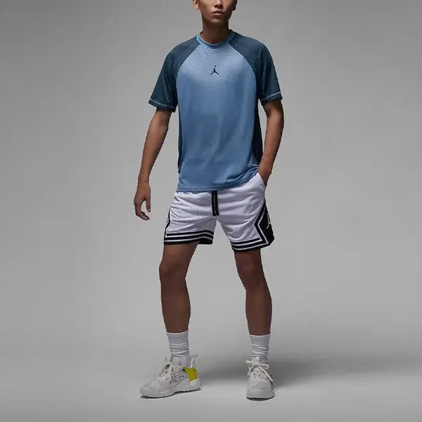 JORDAN Dri-fit Adv Sport Logo T-shirt - Blue/grey