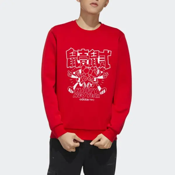 Adidas Neo Graphic Pullover