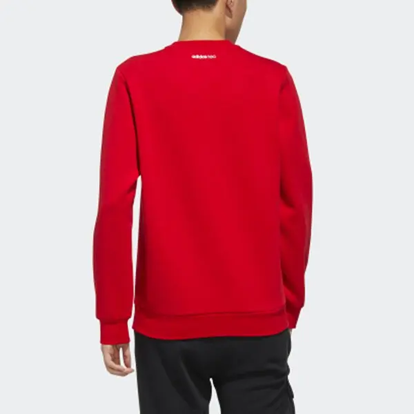Adidas Neo Graphic Pullover