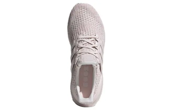 Adidas Ultraboost 'orchid Tint' G54006 - Pink