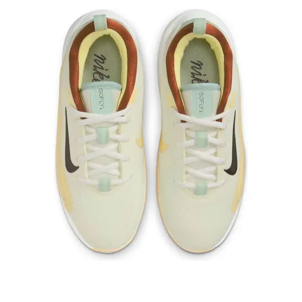 Nike Isofly Sneakers