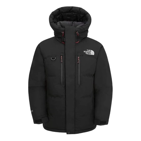 The North Face Himalayan 30th Anniversary Down Parka - Black