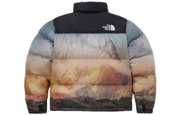 The North Face 1996 Novelty Nuptse Jacket 'multicolor - Multi Color