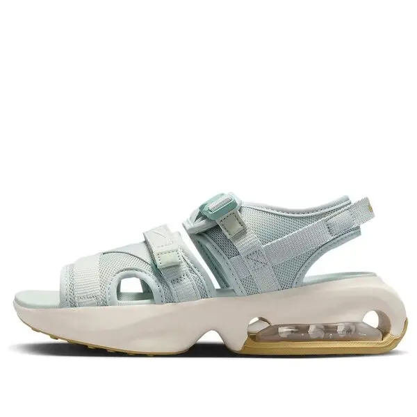 Nike Max Sol Sandal - Grey