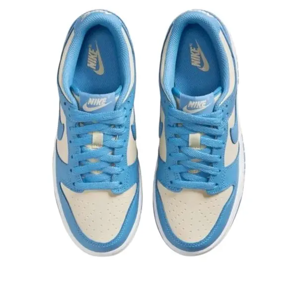 Nike Dunk Low Lace Up Sneakers
