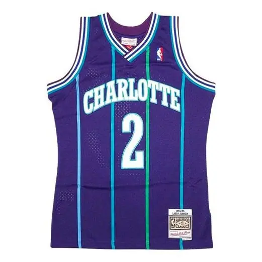 Mitchell & Ness Charlotte Hornets Larry Johnson 1994/95 Nba Swingman Jersey - Default Colorway
