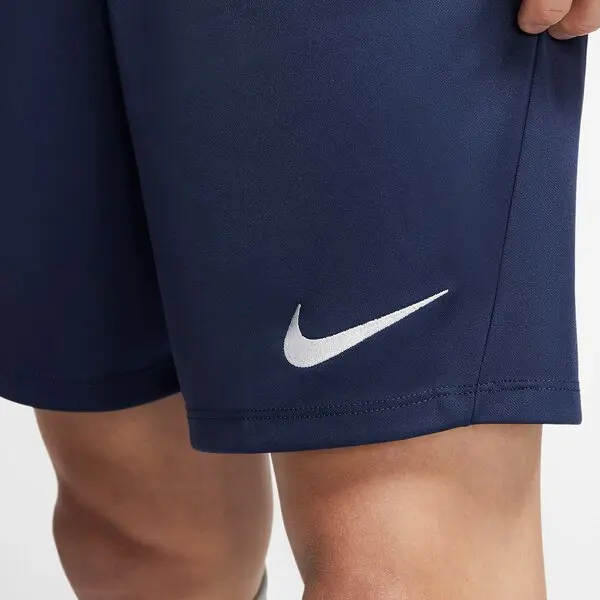 Nike Dry Park Iii Shorts