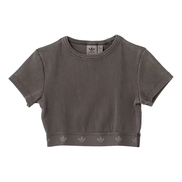 Adidas Rib Ss Cropped T-shirt - Grey