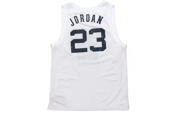 JORDAN Air Dna Distorted Mesh Basketball Jersey