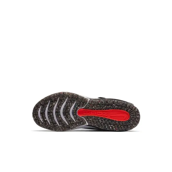 Nike Zoom Arcadia Se Sneakers