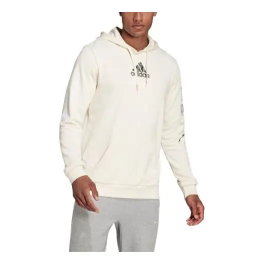 Adidas Graphic Hoodie