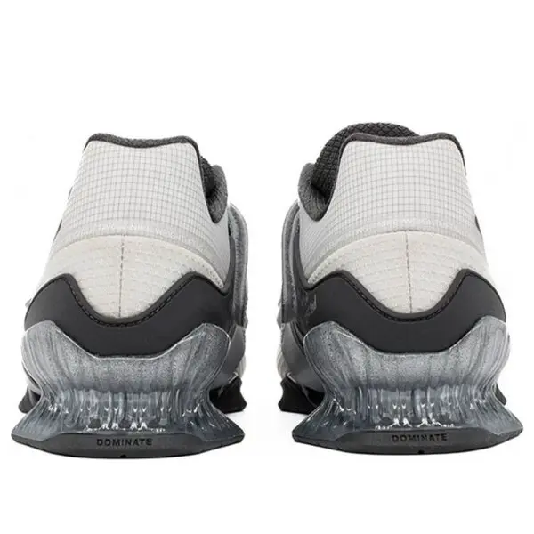 Nike Romaleos 4 Se Athletic Sneakers - Phantom Dust/metallic Silver