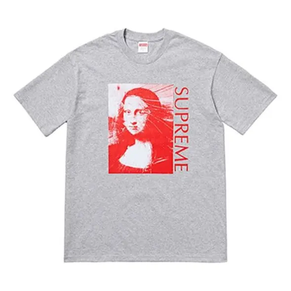 Supreme Ss18 Mona Lisa Tee Heather Printing Short Sleeve Gray - Grey