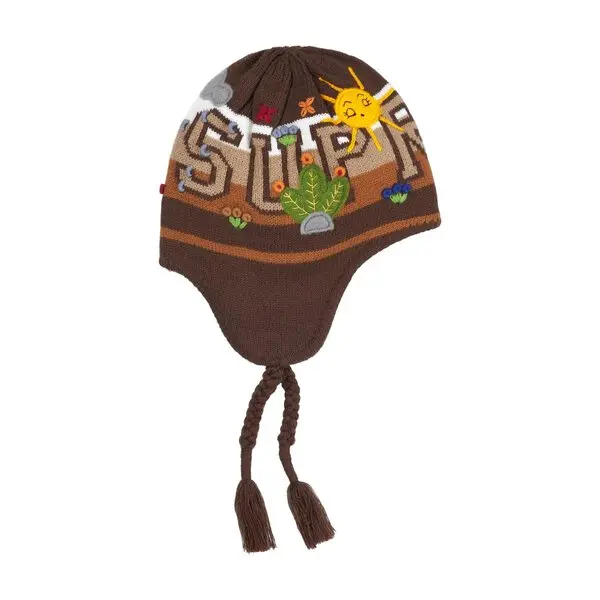 Supreme Fw25 Felt Appliqué Earflap Beanie - Brown