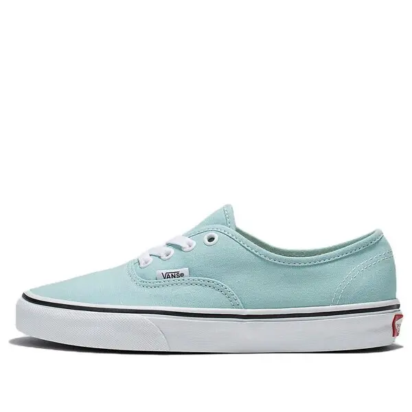 VANS Authentic Low Top Lace-up Sneakers