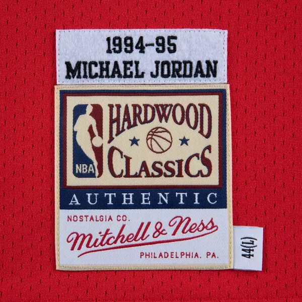 Mitchell & Ness Nba Michael Jordan Chicago Bulls 1994/95 Jersey #45