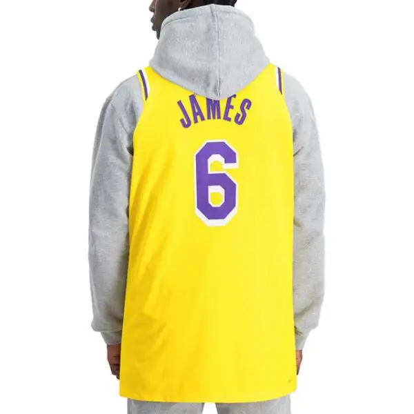 Nike X Nba La Lakers Lebron James 6 Jersey
