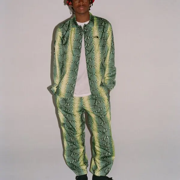 Supreme X The North Face Snakeskin Taped Seam Coaches Jacket