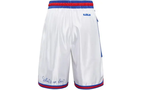 Nike Space Jam Lebron James Basketball Shorts