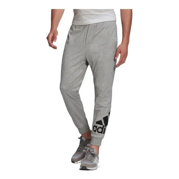 Adidas Pants Large Logo Sports Pants/trousers/joggers Gray - Default Color