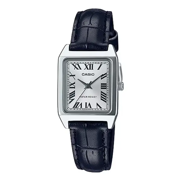 Casio Quartz Analog Watch - Silverblack