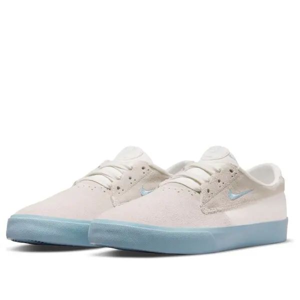 Nike Shane 'sail Boarder Blue' Sneakers