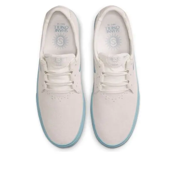 Nike Shane 'sail Boarder Blue' Sneakers