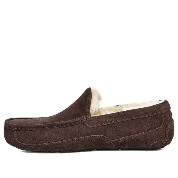UGG Ascot Slipper Shoe - Brown